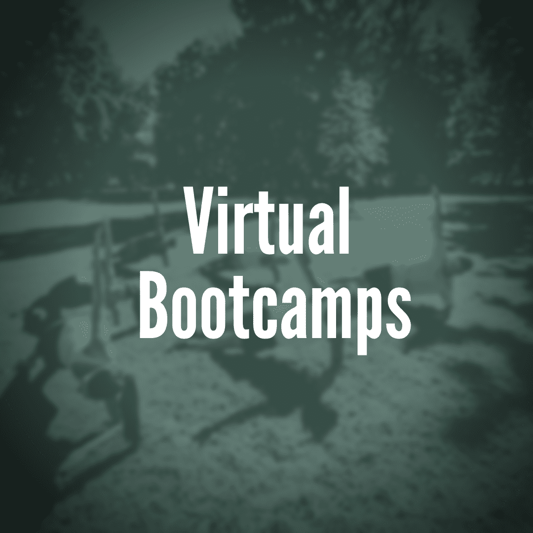 Symbiometry - Virtual Bootcamps